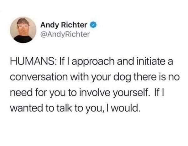 [30 MEMES] It's funny cuz it's true - Your daily relatable meme dump