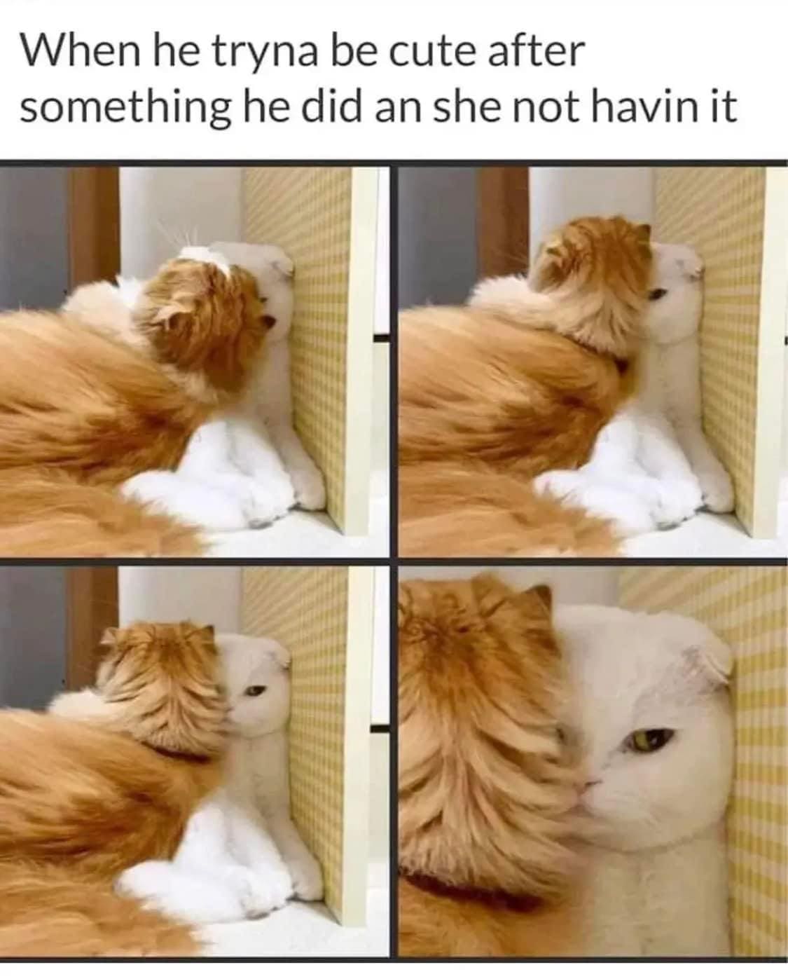 relatable memes today-13-20230129 - Thunder Dungeon | The Funniest ...