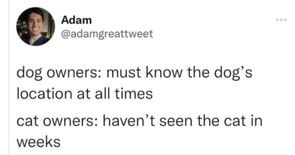 [25 MEMES] The Morning Commute - The funniest memes from the past day