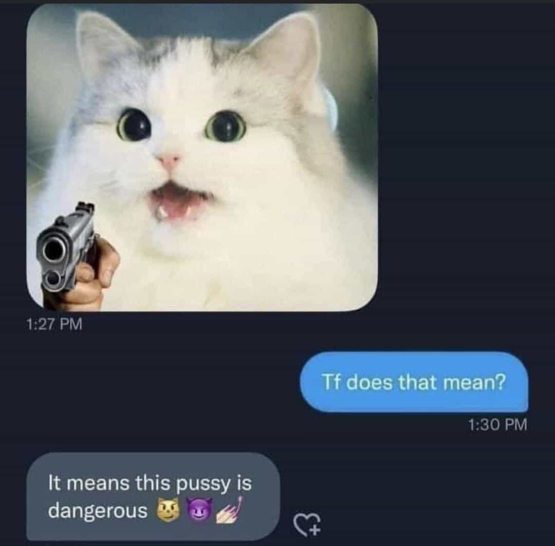 Funniest memes of all time-132-02-01-2023 - Thunder Dungeon | The ...