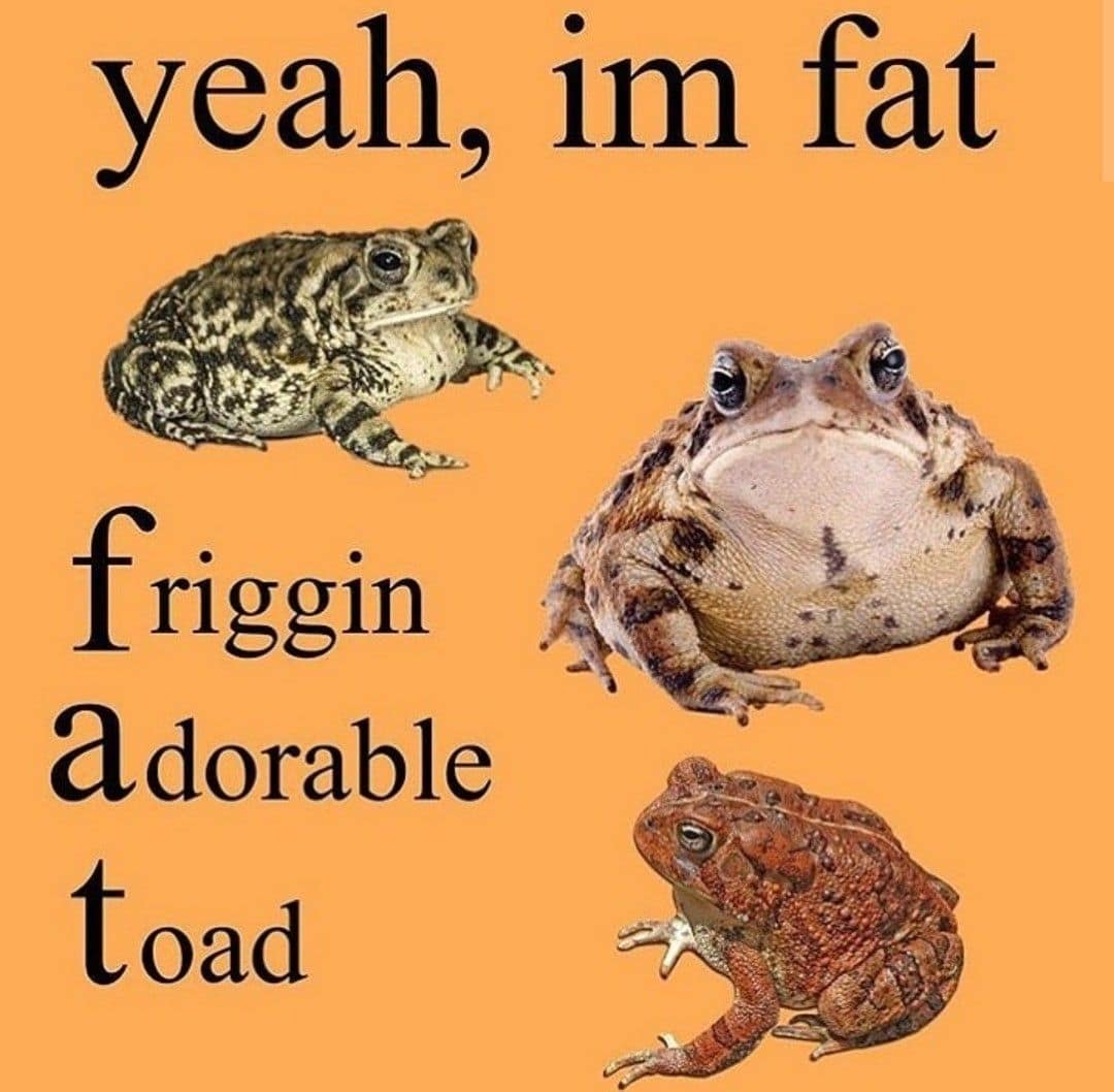 frog memes-22-20230218 - Thunder Dungeon | The Funniest Memes. Period.