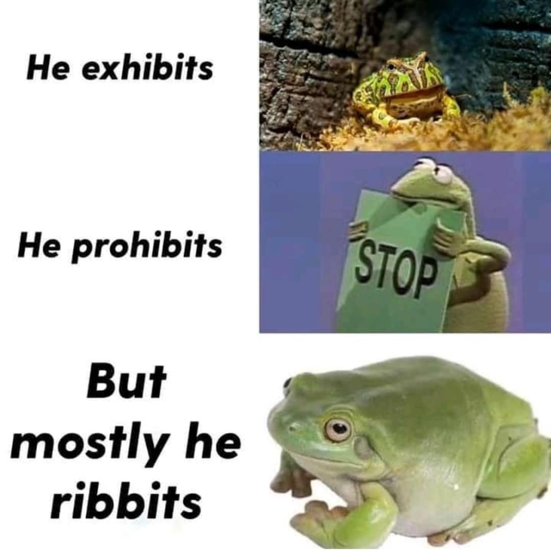 frog memes-29-20230218 - Thunder Dungeon | The Funniest Memes. Period.