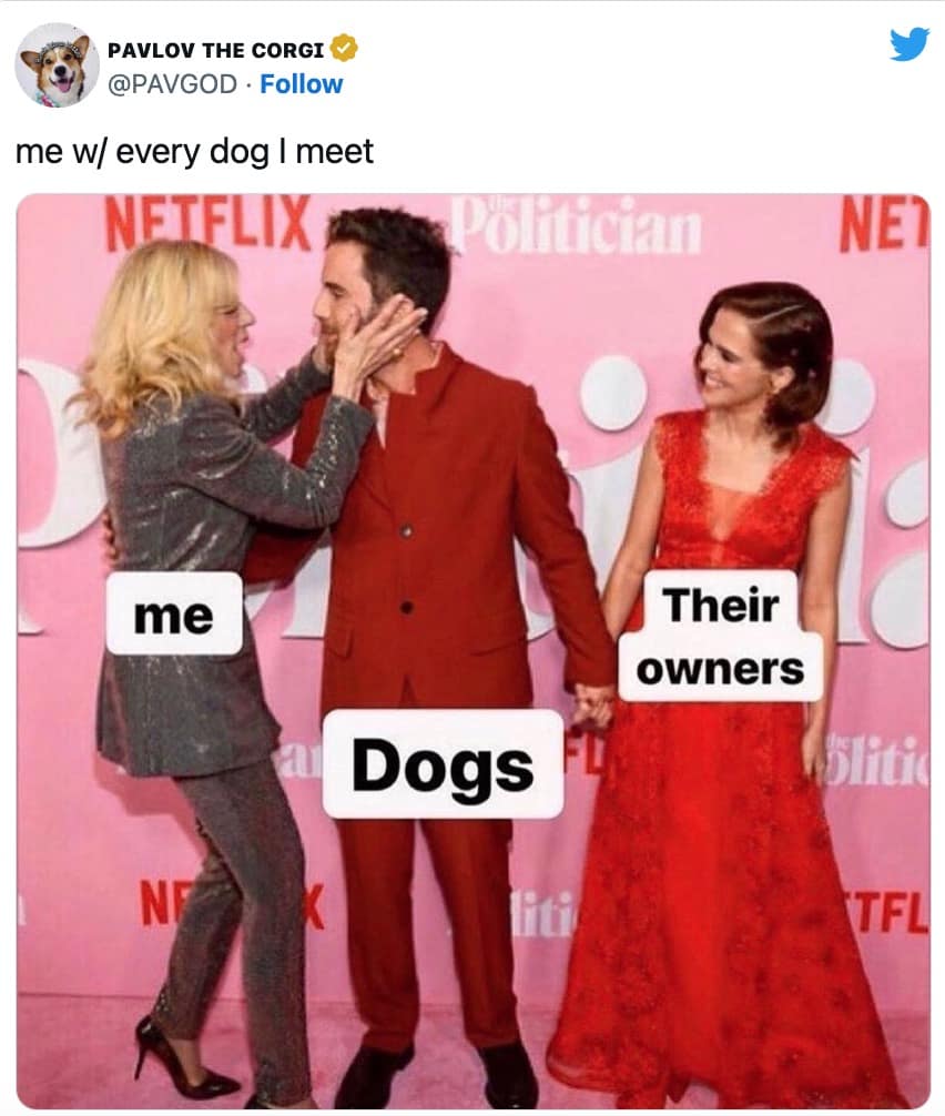 funny cat memes-29-20230215 - Thunder Dungeon | The Funniest Memes. Period.