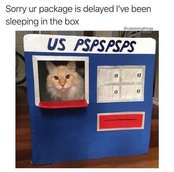 30 Of the most finicky cat memes for the cat owners and fans