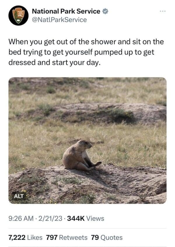 25 Hilarious memes to help you wind down from your work day