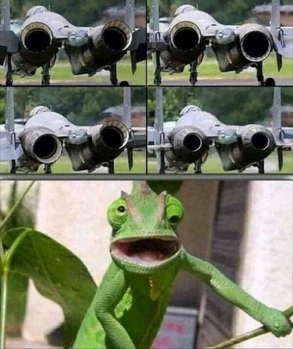 Meme Dump - 25 Fresh And Crispy Memes For Your Lunch Break