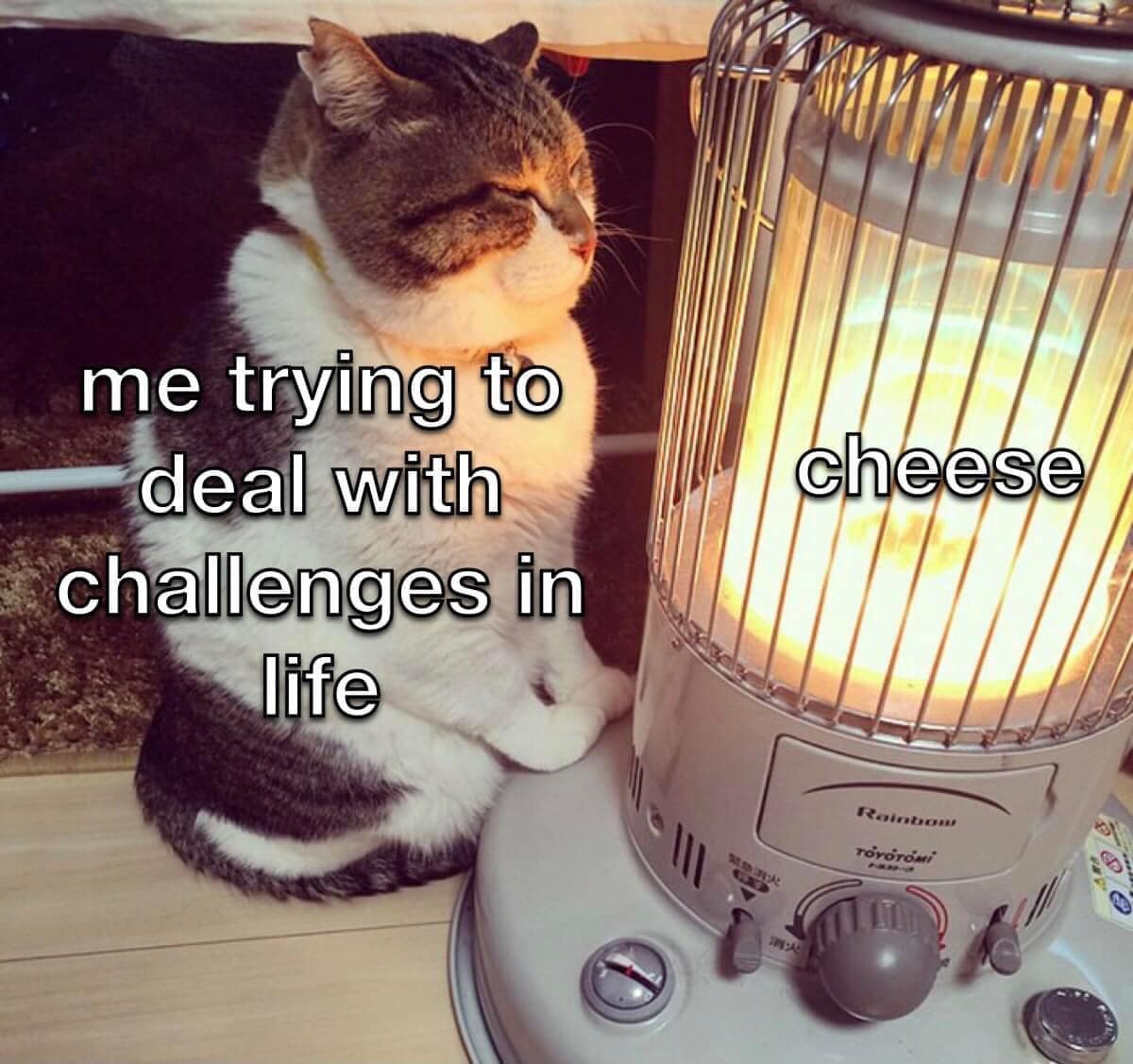 cheese meme-24-20230328 - Thunder Dungeon | The Funniest Memes. Period.
