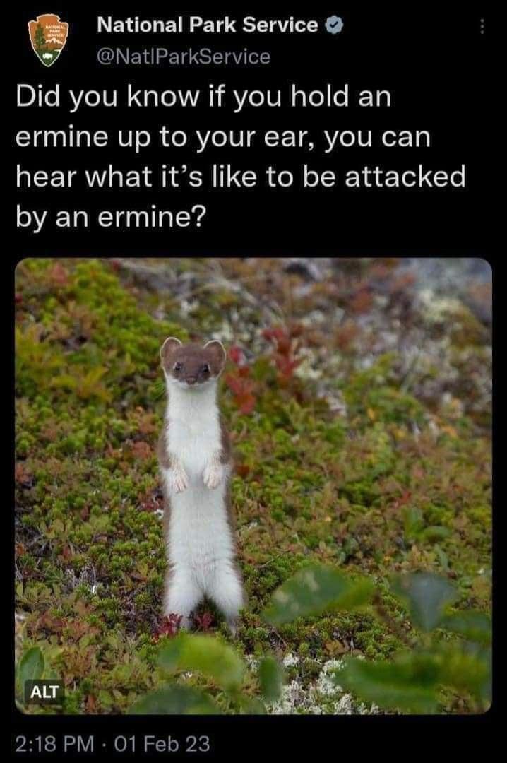 classic memes-01-23-20230305 - Thunder Dungeon | The Funniest Memes ...