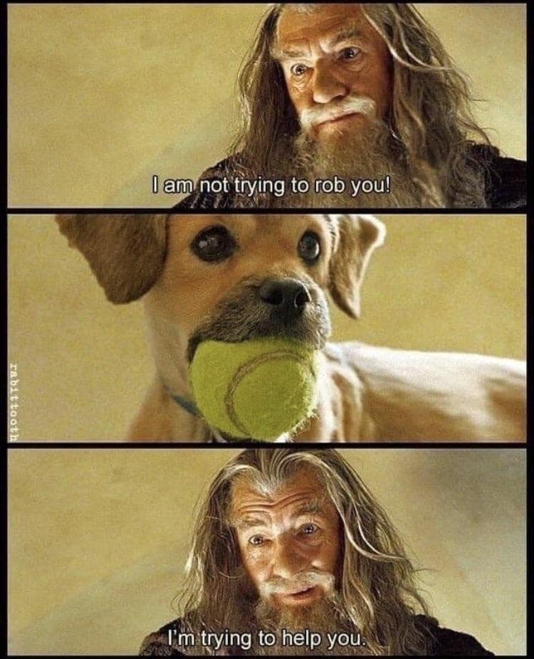 Thunder Dungeon - Funny Memes, Funny Pictures, Funny Gifs and Funny ...