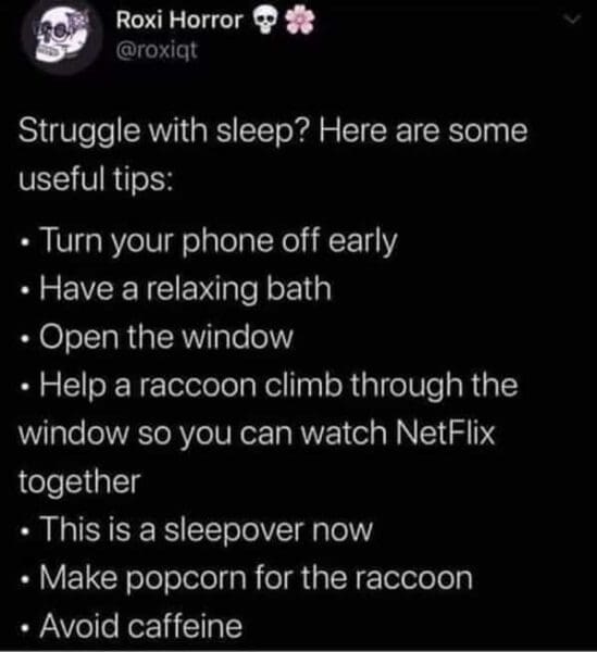 35 Sleep Memes That Won’t Help With Your Insomnia, but Will Make You ...