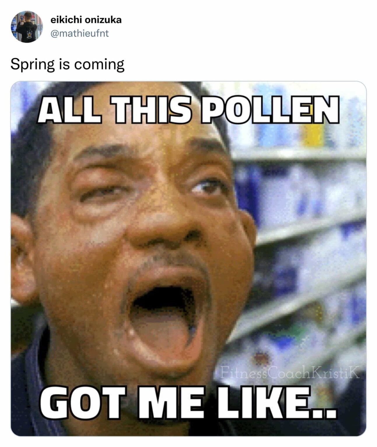25 Spring Memes Since Spring Is Right Around the Corner