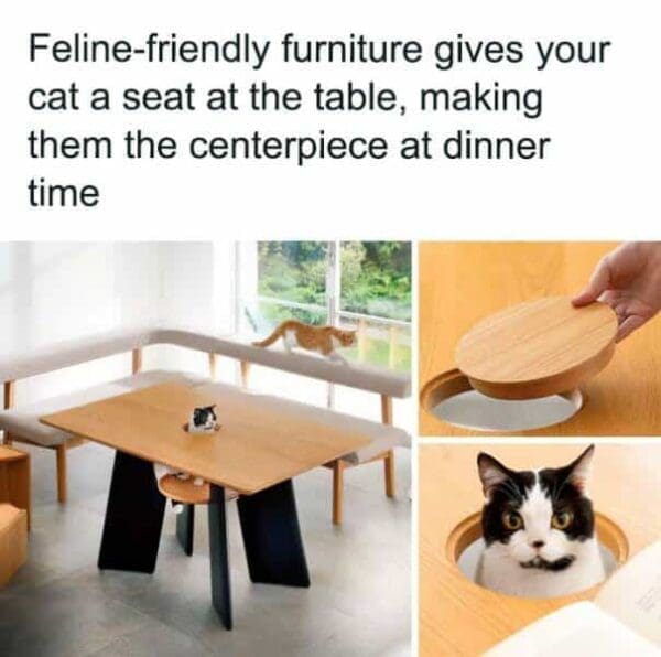 30 Animal Memes That Are the Cornerstone of the Internet