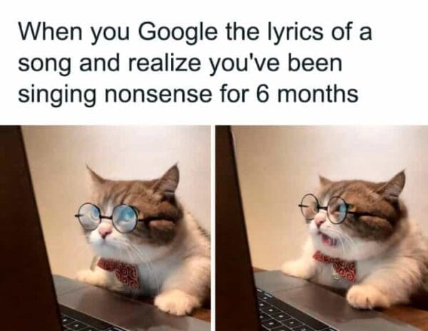30 Animal Memes That Are the Cornerstone of the Internet