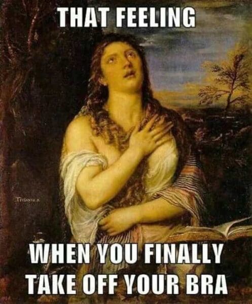 30 Boob Memes That Will Be Infinitely Relatable To Those Who Have Some 4776