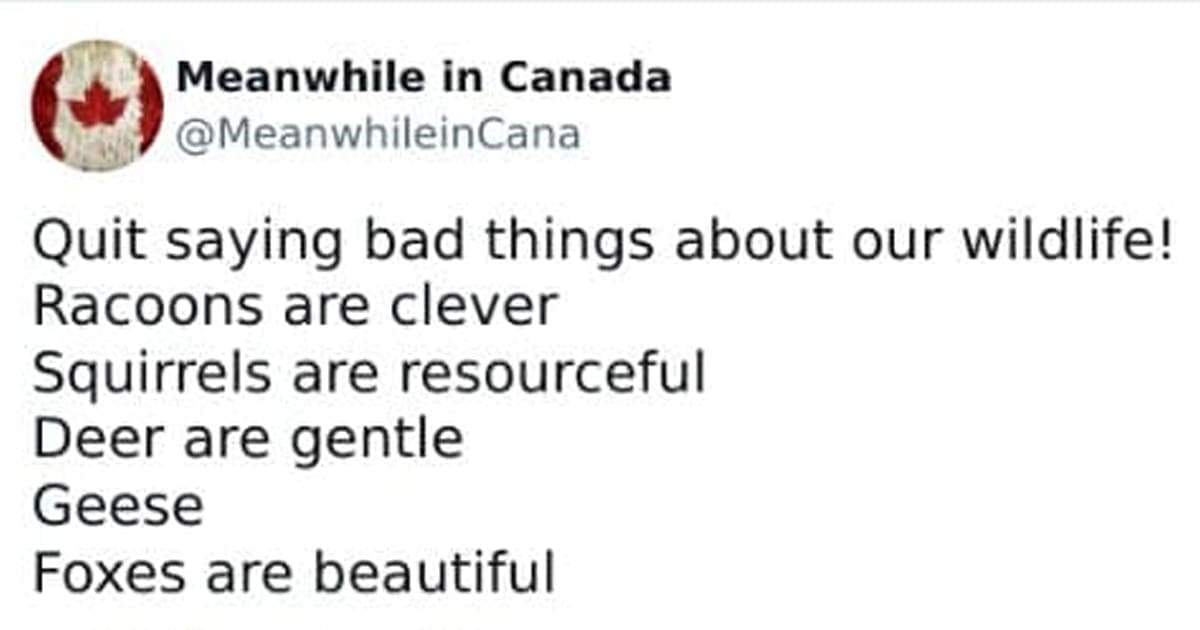 30 Canada memes you won't have to say SORRY for