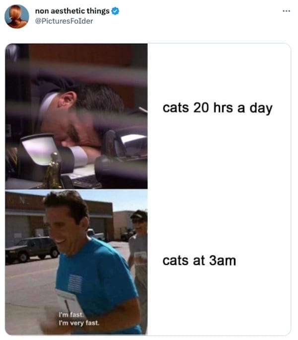 25 Hilarious Memes For Your Evenin' Memin'