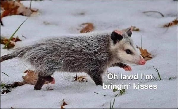 25 Hilarious Memes For Some Evenin' Memein'