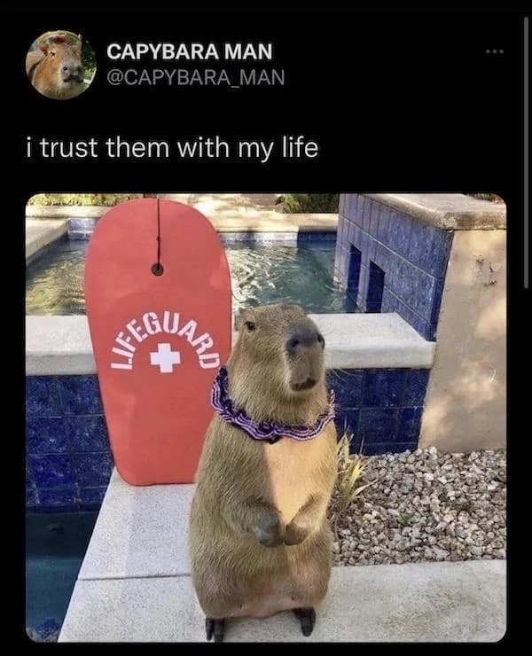 25 Hilarious Memes For Your Evenin' Memein'