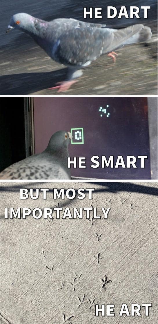 Meme Dump - 25 Memes served hot and fresh for lunch
