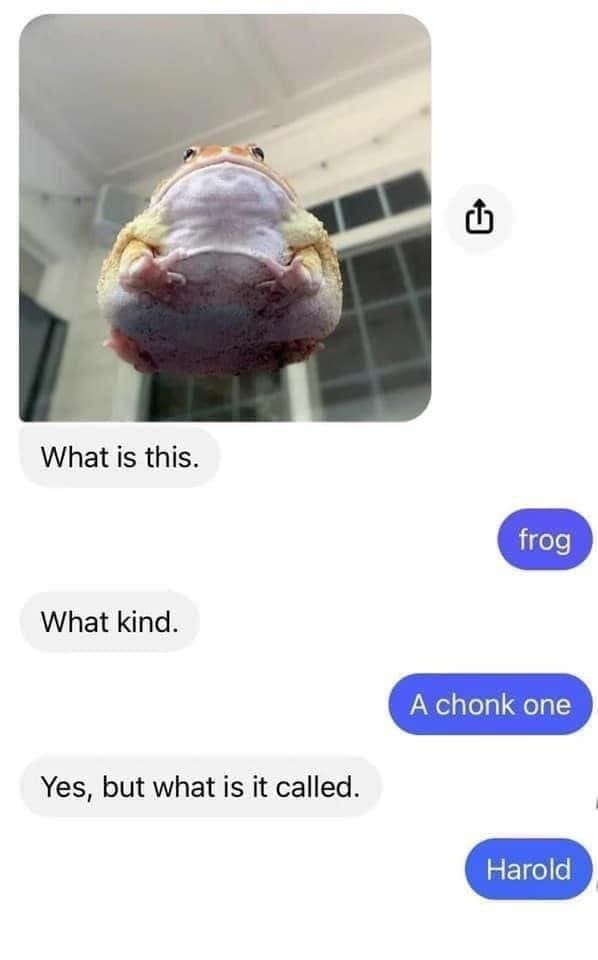 40 Of the most popular memes from the Old But Gold archive