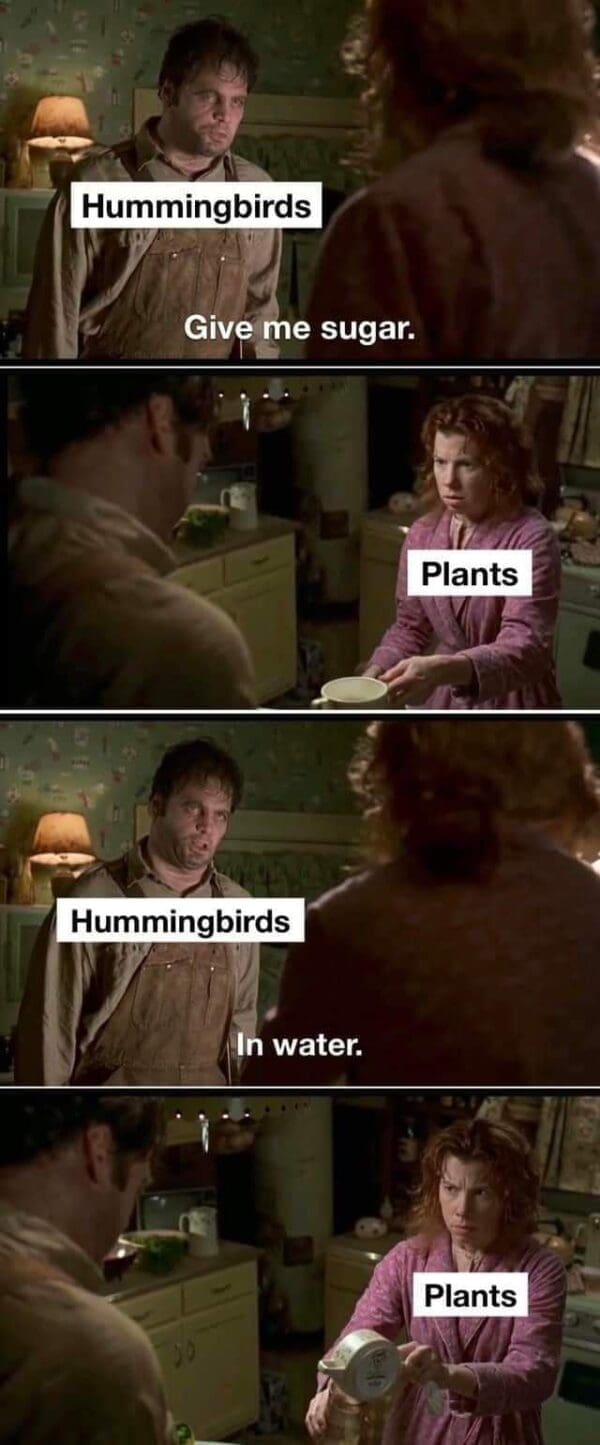 40 Of the Most Popular Memes of All Time - Old But Gold