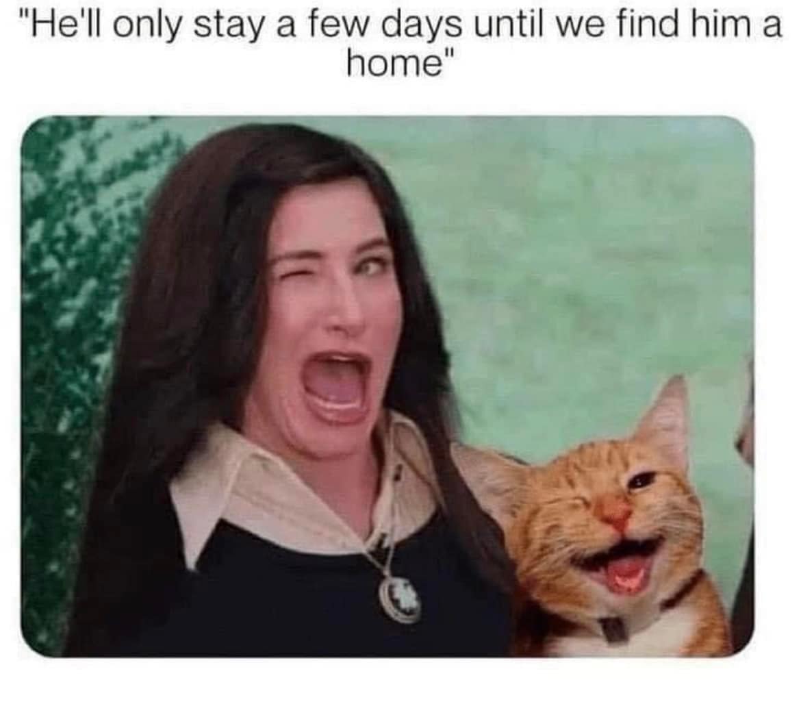 most popular memes-8-20230426 - Thunder Dungeon | The Funniest Memes ...