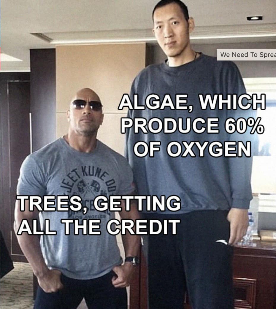 science memes-25-20230429 - Thunder Dungeon | The Funniest Memes. Period.