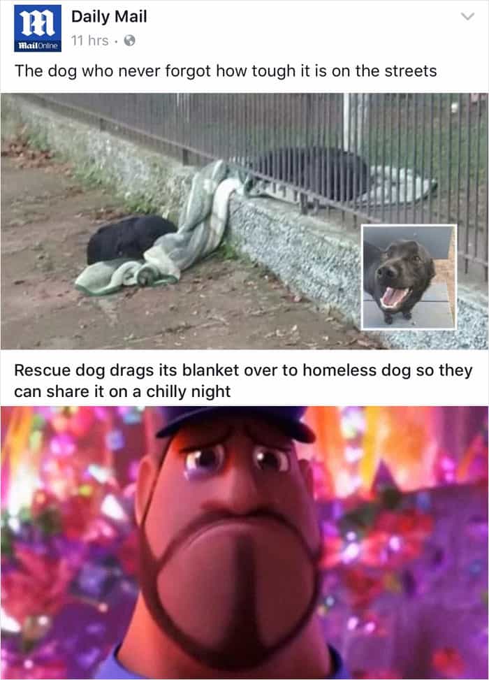 dystopian memes-24-5-15-2023 - Thunder Dungeon | The Funniest Memes ...