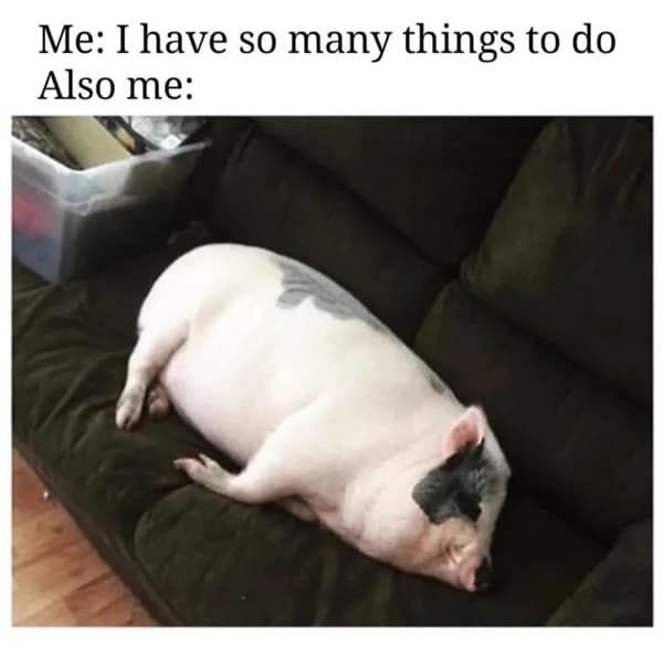 Too Many Things To Do Meme