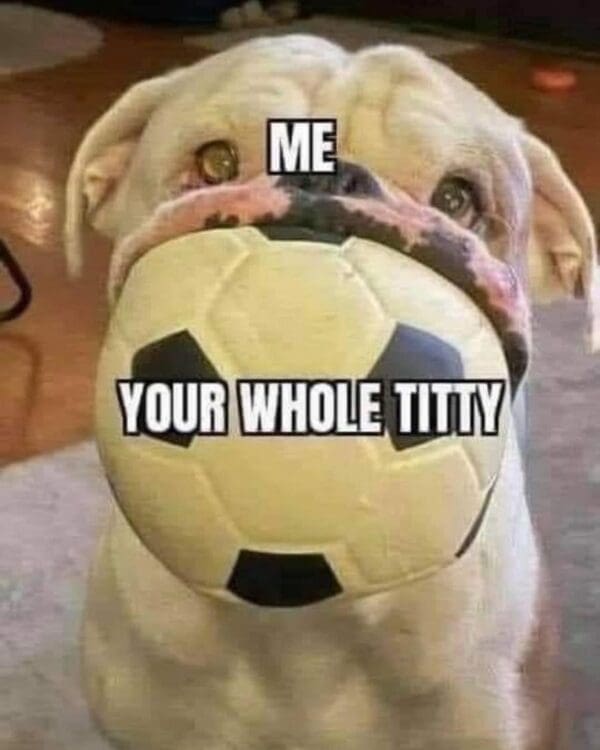 25 Hilarious Memes For Your Evenin' Memein'