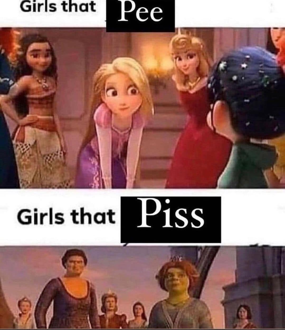 Hilarious Memes About Girls