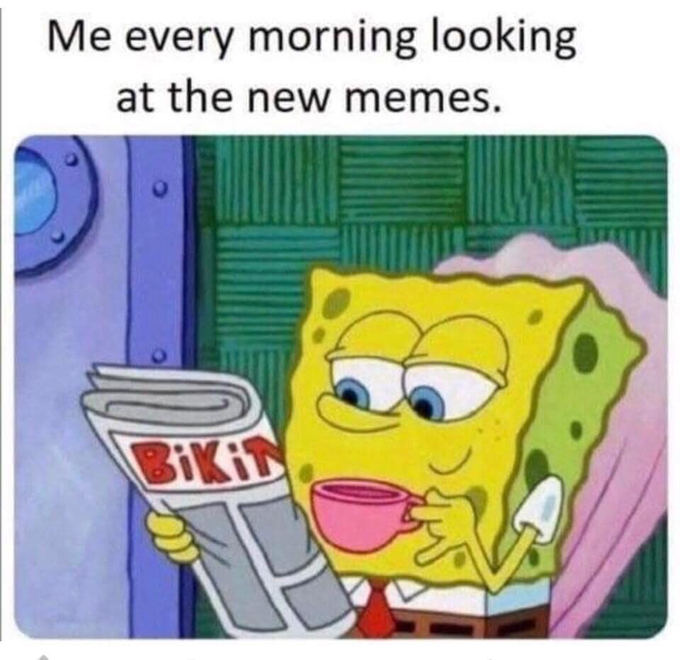 New Memes Daily