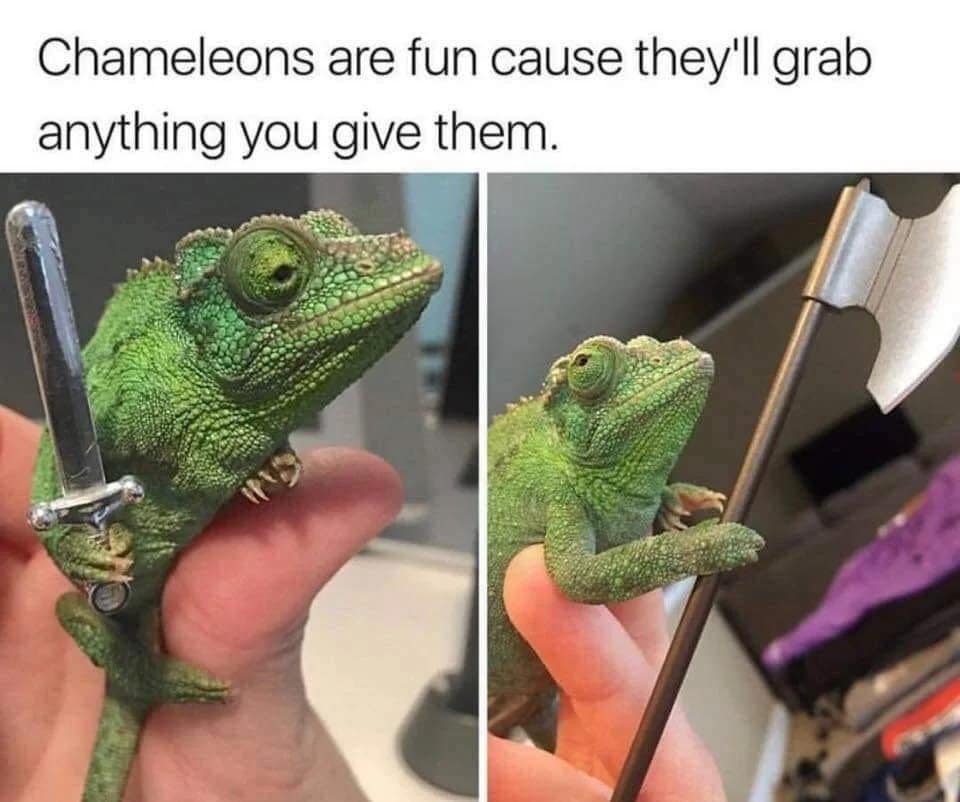 lizard meme-8-20230501 - Thunder Dungeon | The Funniest Memes. Period.