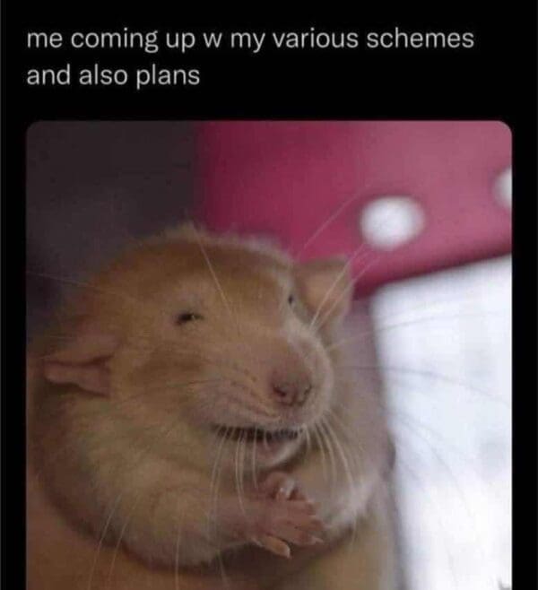 Meme Dump - Saturday Shambles - 25 Memes for your Lazy Saturday