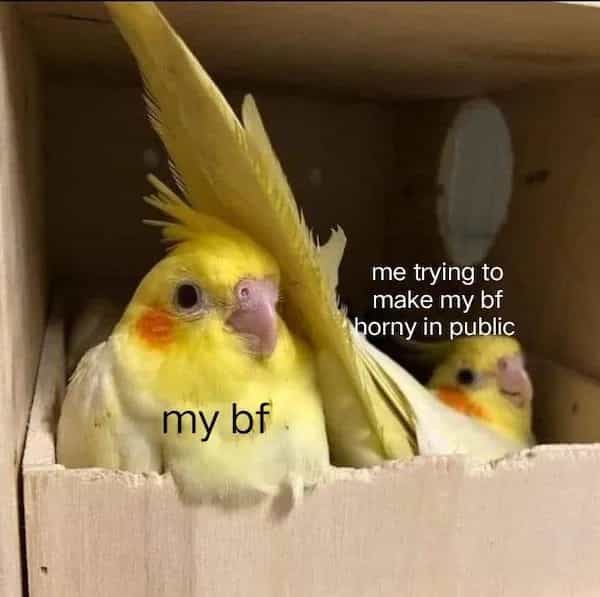 30 Dirty Flirty Sexy Memes to Send to Your Significant Other