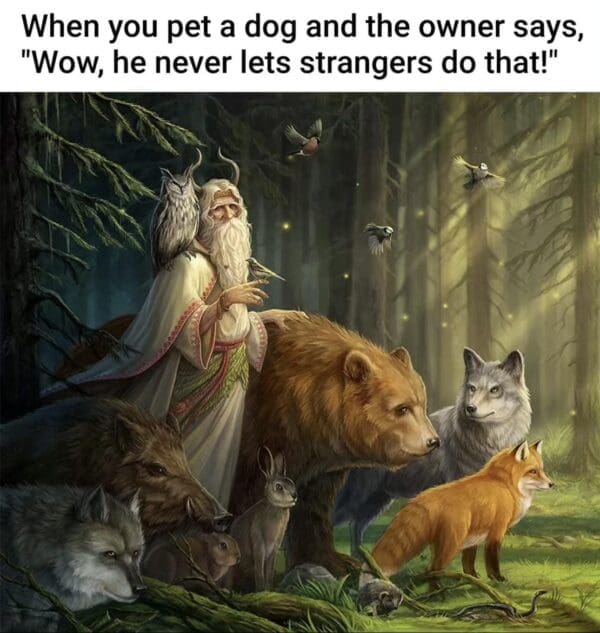 25 Classic Memes From The Best Days of the Internet