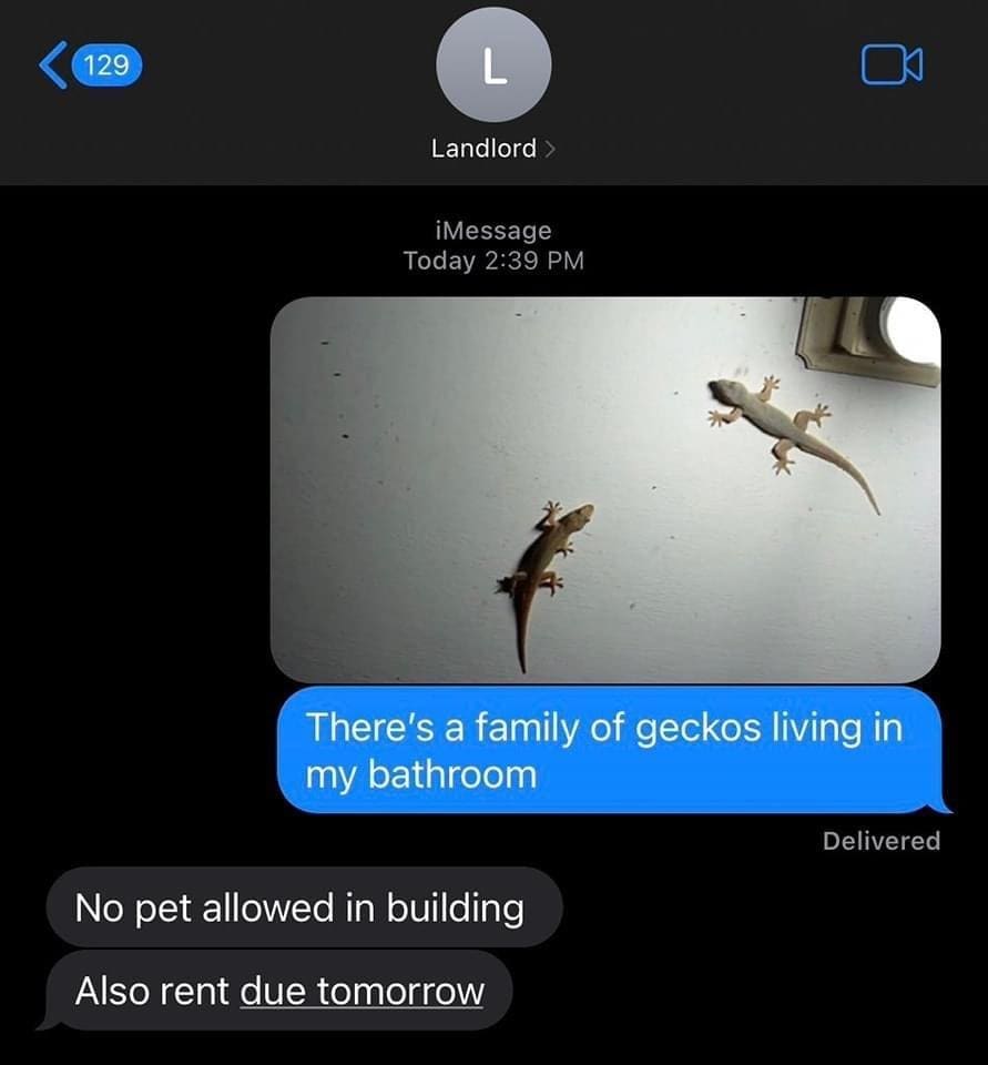 classic memes-71-20230605 - Thunder Dungeon | The Funniest Memes. Period.