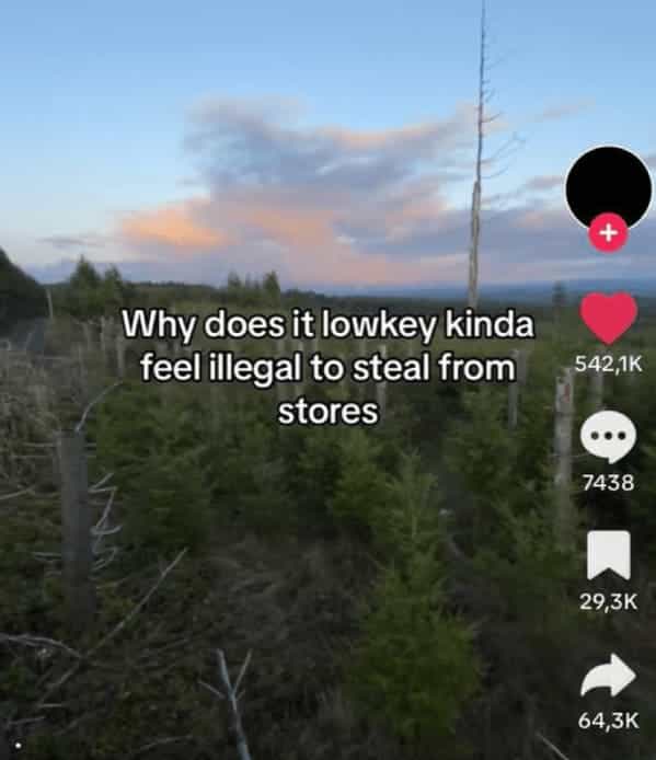 40 Wildly Unhinged but Oddly Funny TikTok Comments From That Tire Fire ...