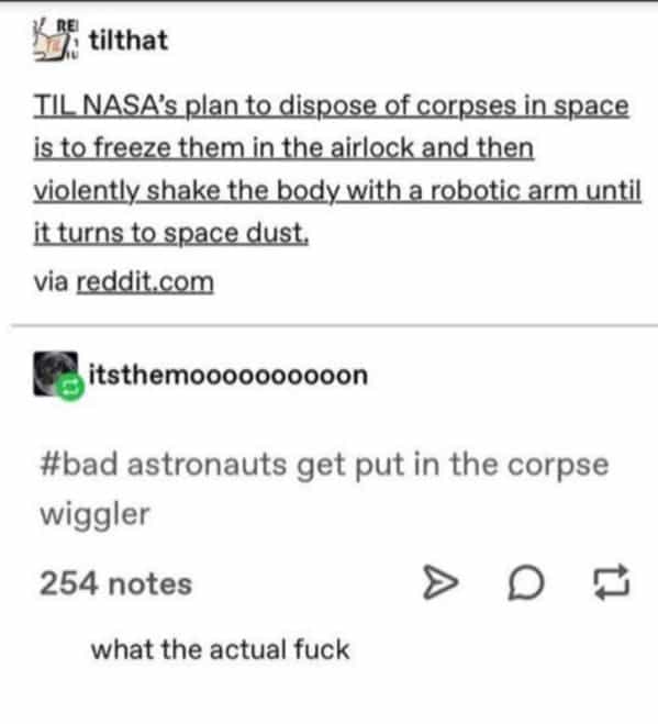 Tumblr After Dark: 25 Funny Tumblr posts from the best of the ...