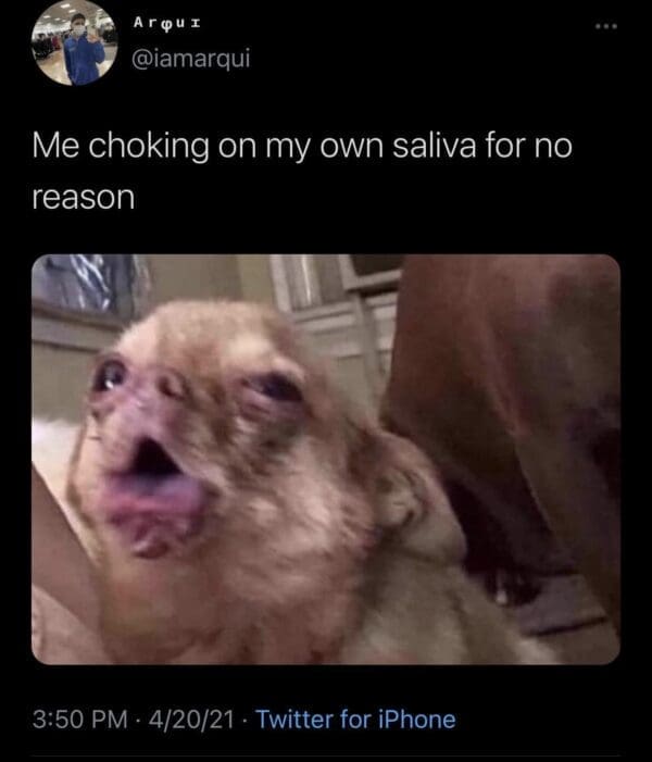 35 Of the most popular and funny memes ever - Old But Gold