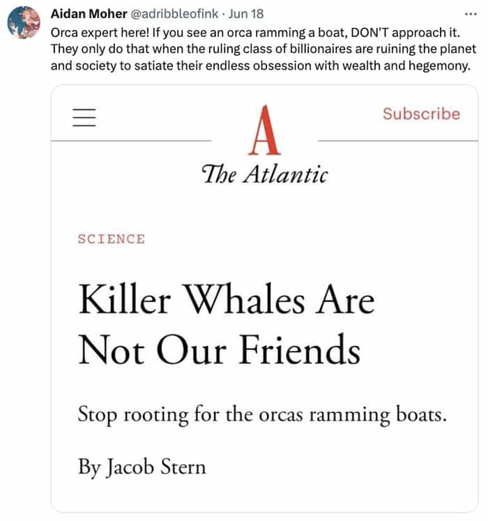 orca boat attack memes-14-6-29-2023 - Thunder Dungeon | The Funniest ...