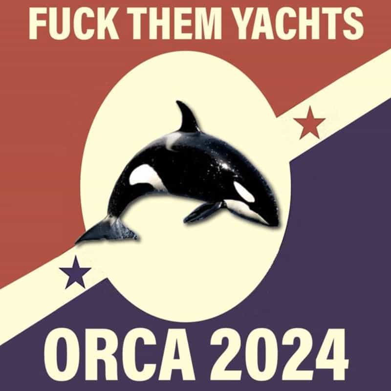 orca boat attack memes-18-6-29-2023 - Thunder Dungeon | The Funniest ...