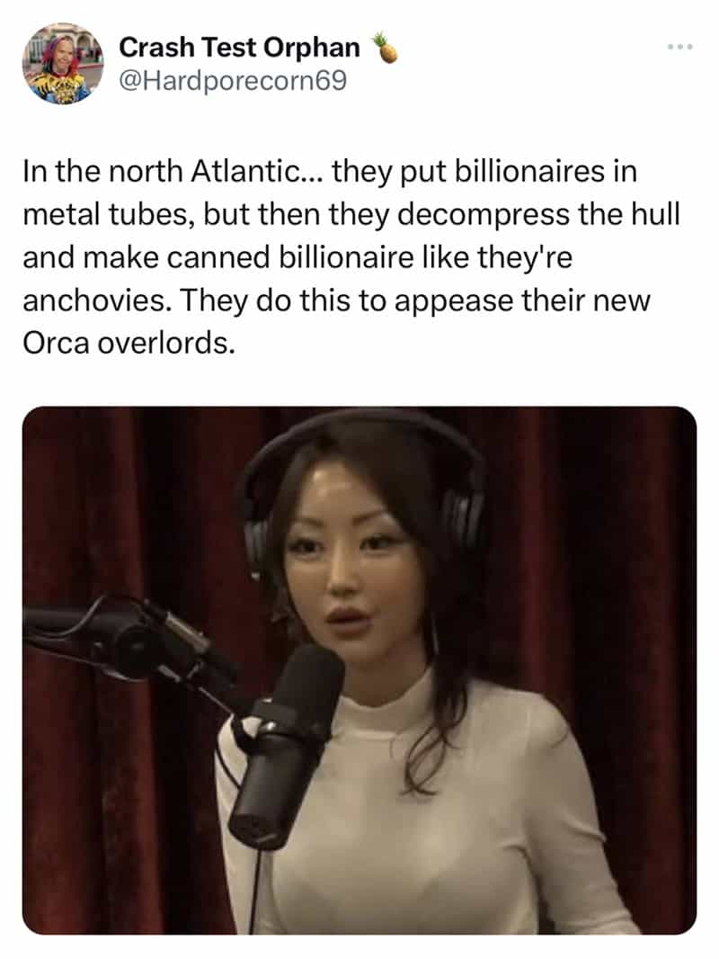 orca boat attack memes-8-6-29-2023 - Thunder Dungeon | The Funniest ...