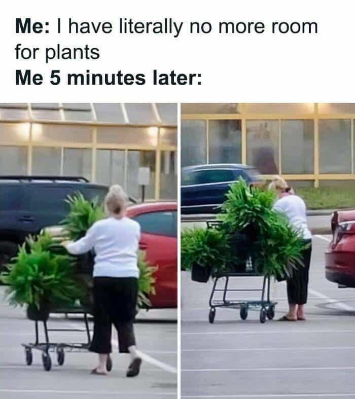 plant memes-25-6-6-2023 - Thunder Dungeon | The Funniest Memes. Period.