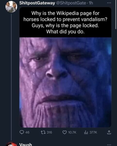 Spicy Memes - Philcrasturbation (20 DANK MEMES)