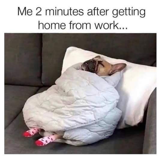 30 Classic Memes From The Golden Days of The Internet