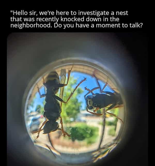 34 Cursed Images That Will Make You Feel Unsettled To Say the Least