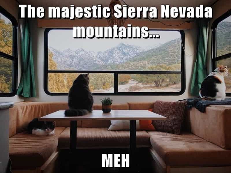 hiking memes-5-7-12-2023 - Thunder Dungeon | The Funniest Memes. Period.