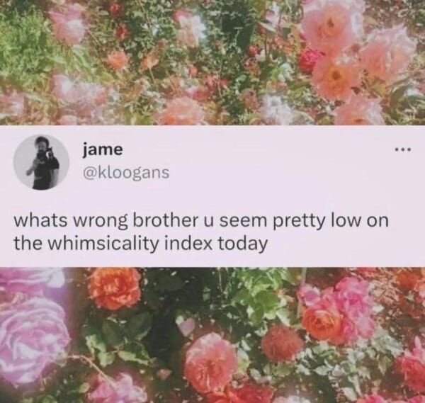 25 Hilarious Memes For Your Work Week Wind Down