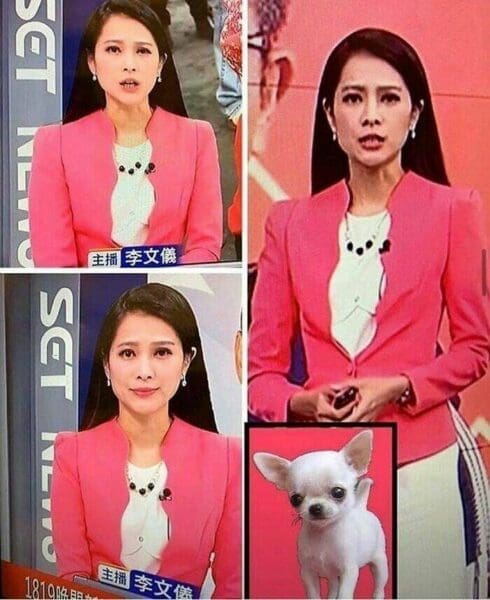 Meme Dump - 25 Crispy Memes Served Up Fresh
